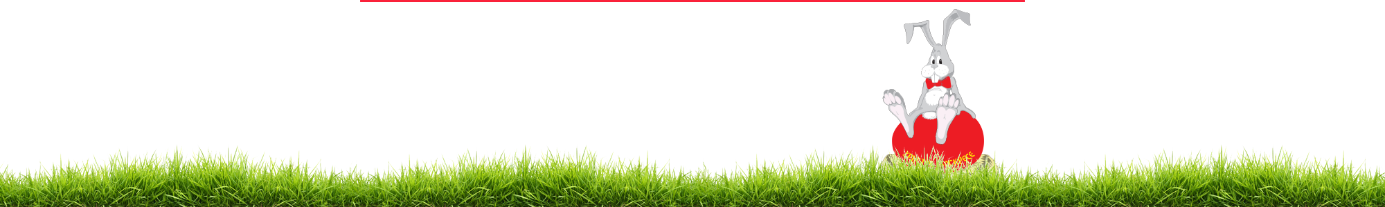 paleta-footer-red-line - Paleta 7